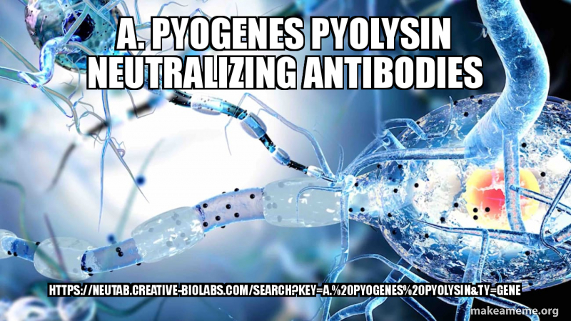 A. pyogenes Pyolysin neutralizing antibodies https://neutab.creative ...