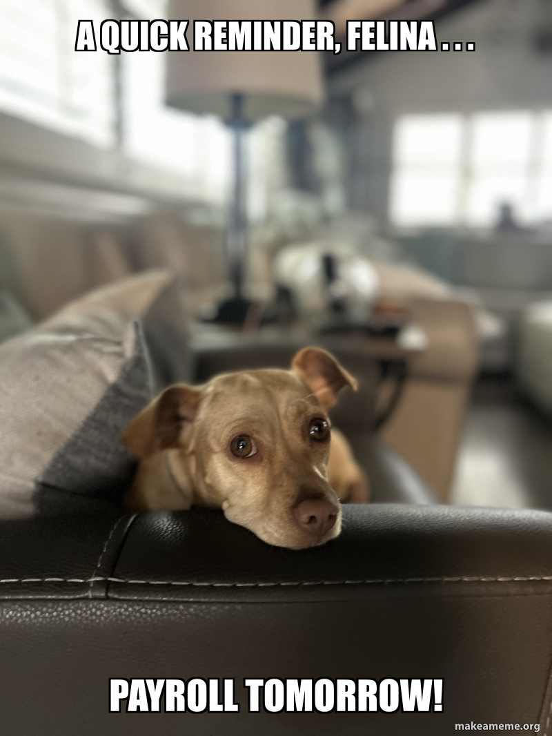 a Quick reminder, felina . . . payroll tomorrow! Meme Generator