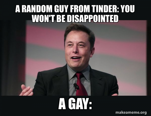 a random guy from tinder: you won't be disappointed a gay: - Elon Musk ...