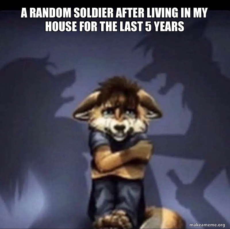 A random soldier after living in my house for the last 5 years Meme ...