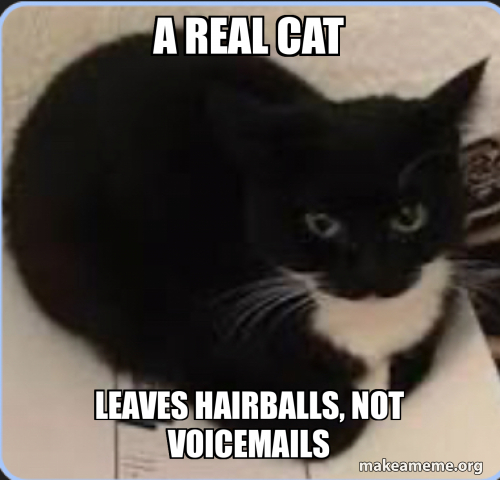 A real cat leaves hairballs, not voicemails - Cat Meme Generator