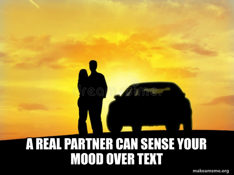 A real partner can sense your mood over text Meme Generator