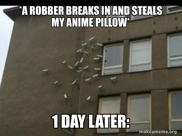 *A ROBBER BREAKS IN AND STEALS MY ANIME PILLOW* 1 DAY LATER: - Paranoia ...