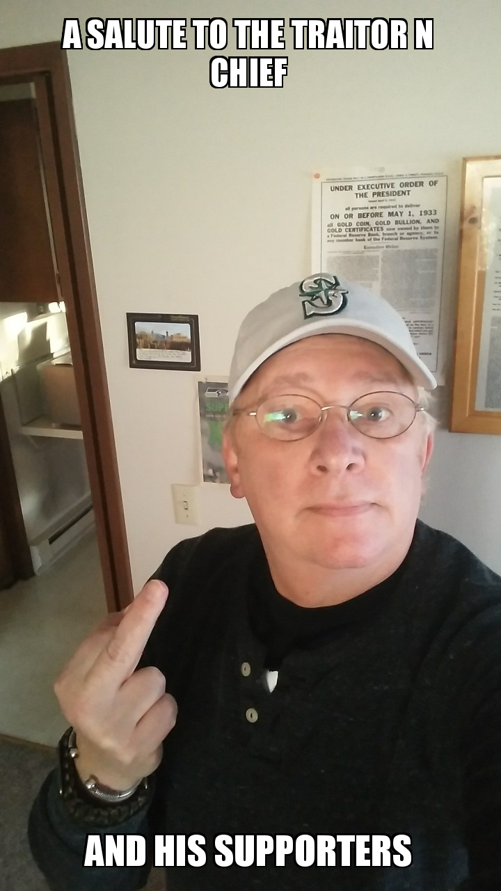 a salute to the traitor n chief and his supporters Meme Generator