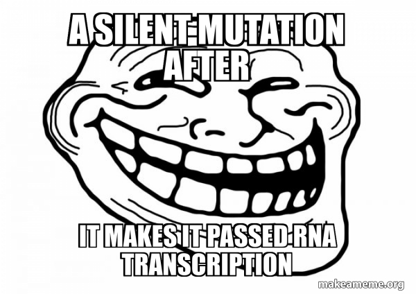 A silent mutation after it makes it passed RNA transcription ...