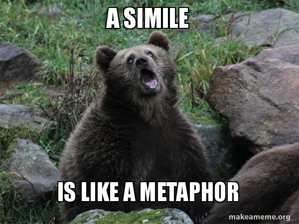 A simile Is like a metaphor - Sarcastic Bear Meme Generator