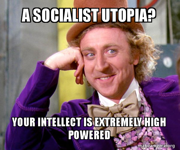 a socialist utopia? your intellect is extremely high powered - Willy ...
