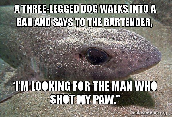 A three-legged dog walks into a bar and says to the bartender, â€˜Iâ€™m ...