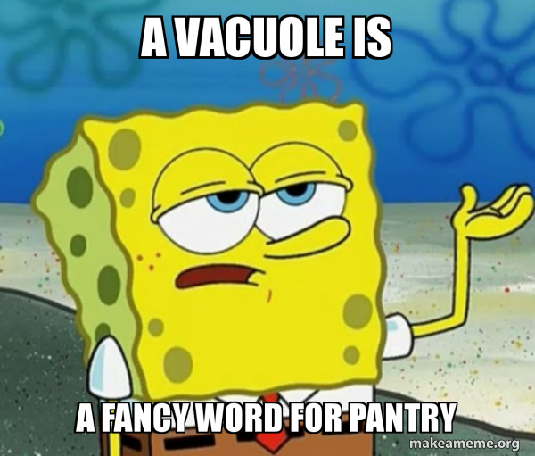 Vacuole Memes Crap Jokes For The John Fun Toilet Paper Roll