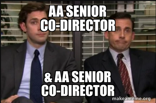 AA senior C0-Director & AA senior CO-Director Meme Generator