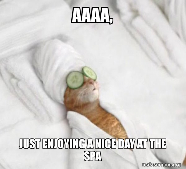 Aaaa, just enjoying a nice day at the spa - Pampered Cat Meme Meme ...