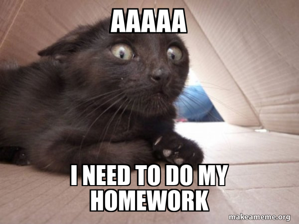 aaaaa i need to do my homework - Schitzo Cat Meme Generator