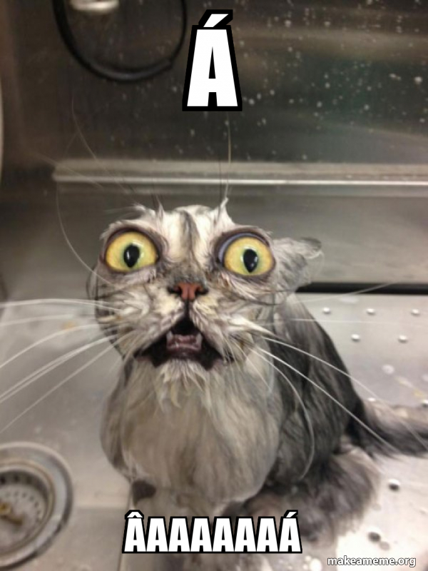 á âaaaaaaá - Cat bath Meme Generator