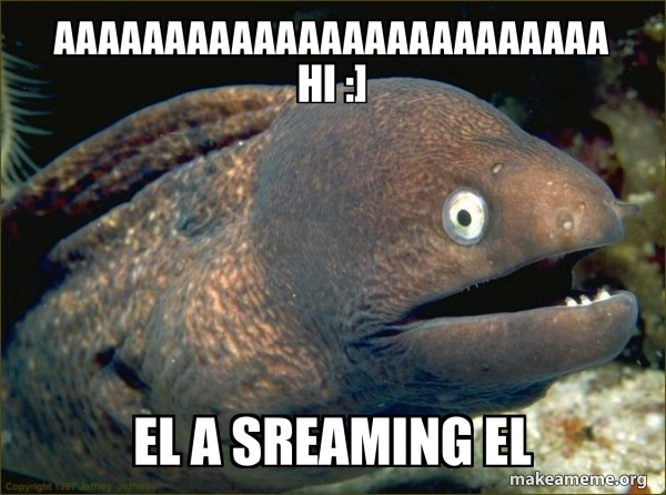 aaaaaaaaaaaaaaaaaaaaaaaaa hi :] el a sreaming el - Bad Joke Eel Meme ...