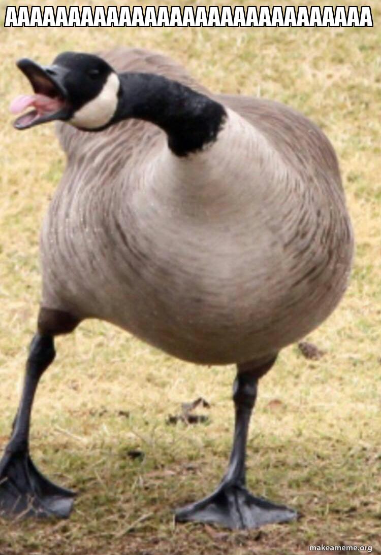 AAAAAAAAAAAAAAAAAAAAAAAAAAAAA Meme Generator