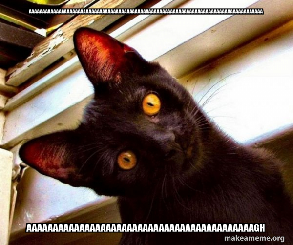 aaaaaaaaaaaaaaaaaaaaaaaaaaaaaaaaaaaaaaaaaaaaaaaaaaaaaaaaaaaaaaaaaaaaaaa ...