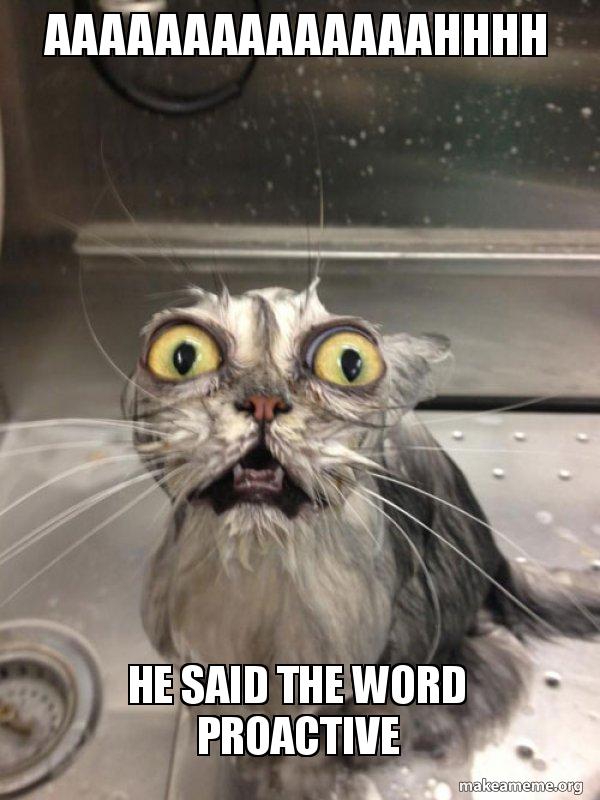 aaaaaaaaaaaaaahhhh He said the word Proactive - Cat bath Meme Generator