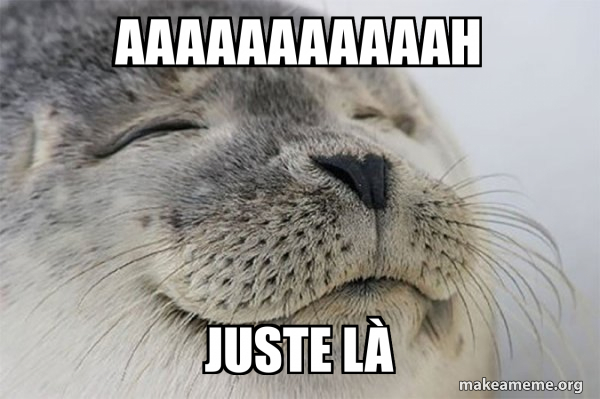 aaaaaaaaaaah juste là - Satisfied Seal Meme Generator