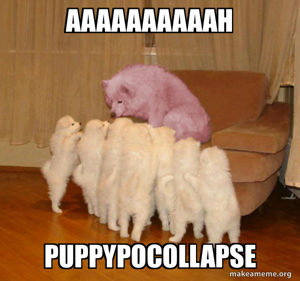 aaaaaaaaaah puppypocollapse - Malicious Storytelling Dog Meme Generator