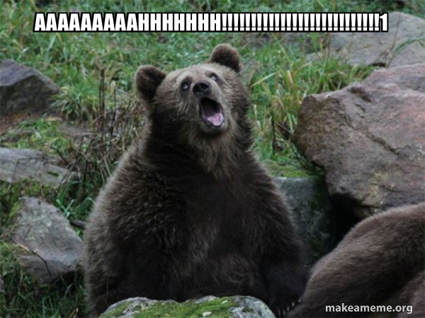 aaaaaaaaahhhhhhh!!!!!!!!!!!!!!!!!!!!!!!!!!!1 - Sarcastic Bear Meme ...