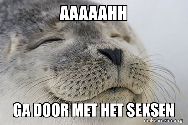 aaaaahh ga door met het seksen - Satisfied Seal Meme Generator