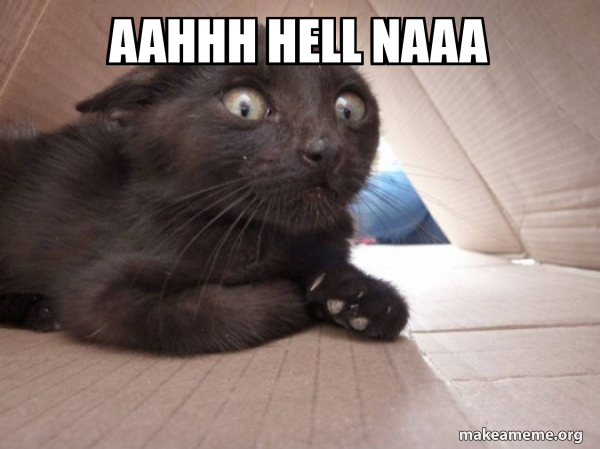 aahhh hell naaa - Schitzo Cat Meme Generator