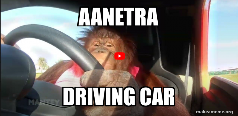 AANETRA driving car Meme Generator