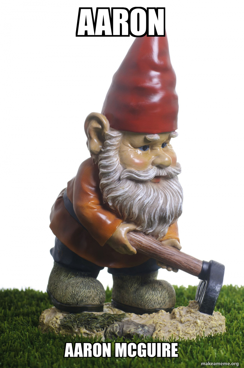 Aaron Aaron mcguire Meme Generator