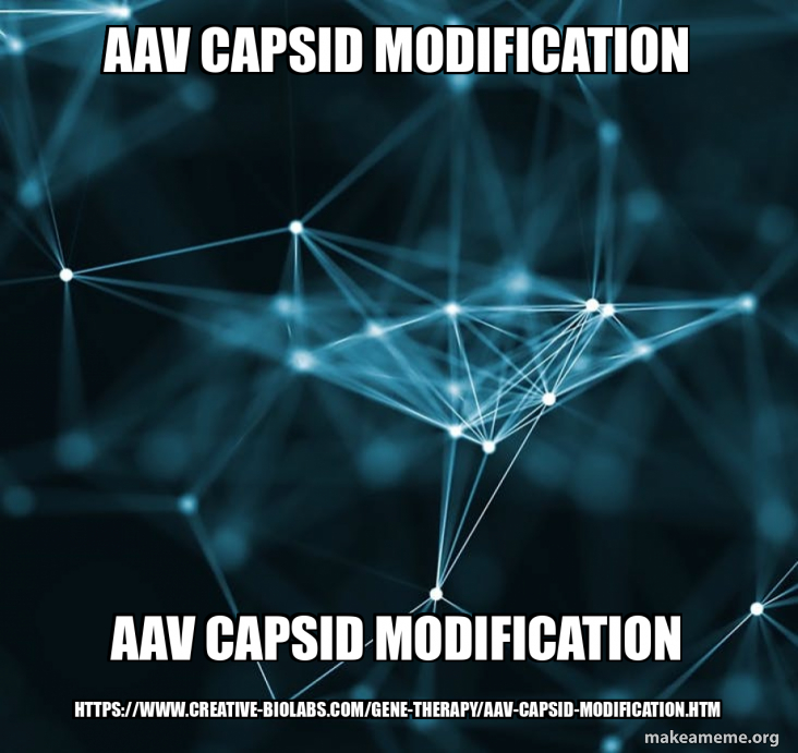 AAV capsid modification AAV capsid modification https://www.creative ...