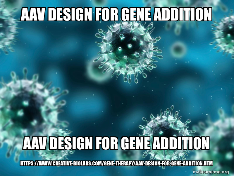 AAV design for gene addition AAV design for gene addition https://www ...