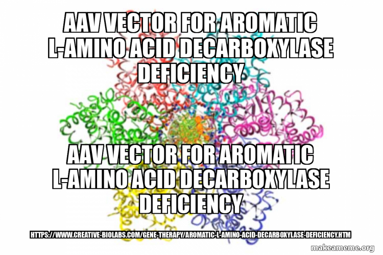 AAV vector for Aromatic l-amino acid decarboxylase deficiency AAV ...