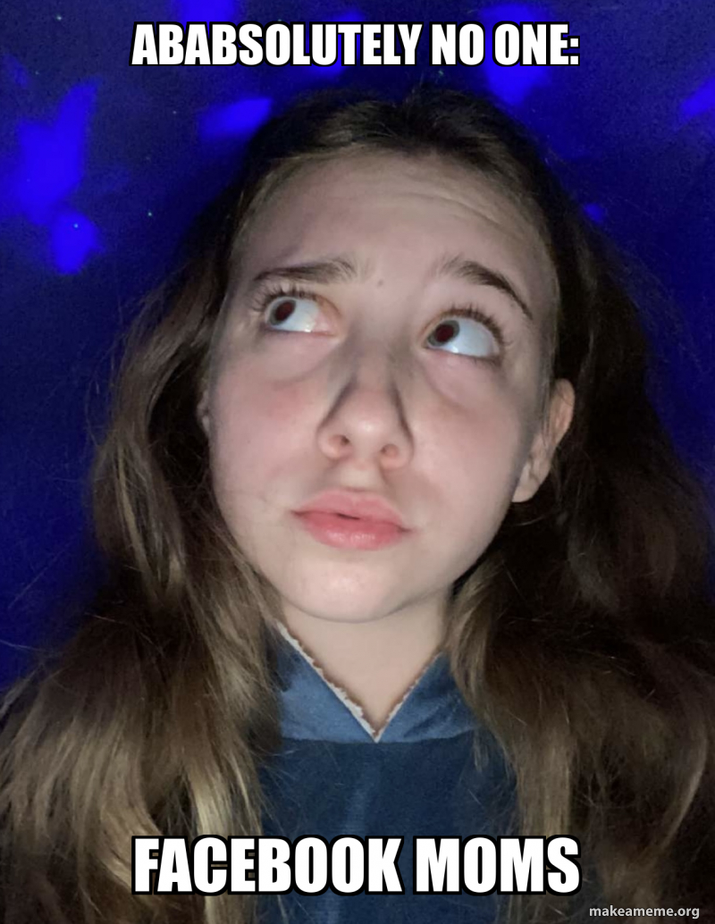 AbAbsolutelY No one: Facebook moms Meme Generator