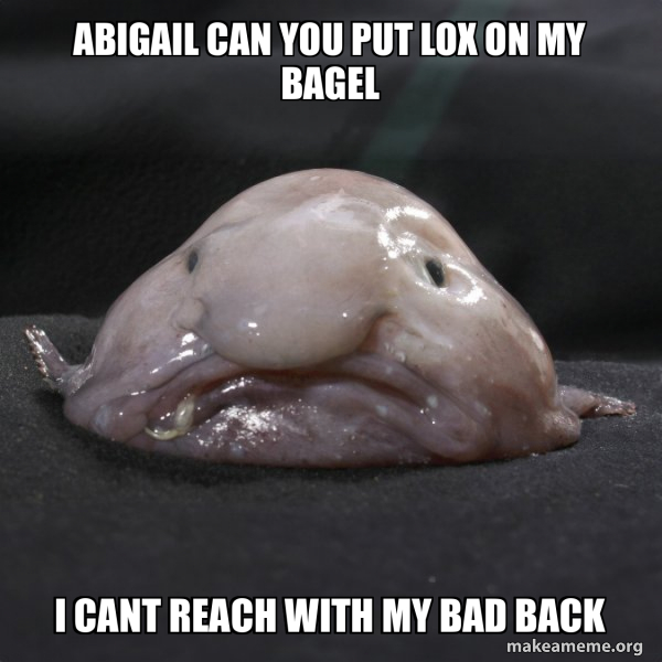 Abigail can you put lox on my bagel I cant reach with my bad back ...