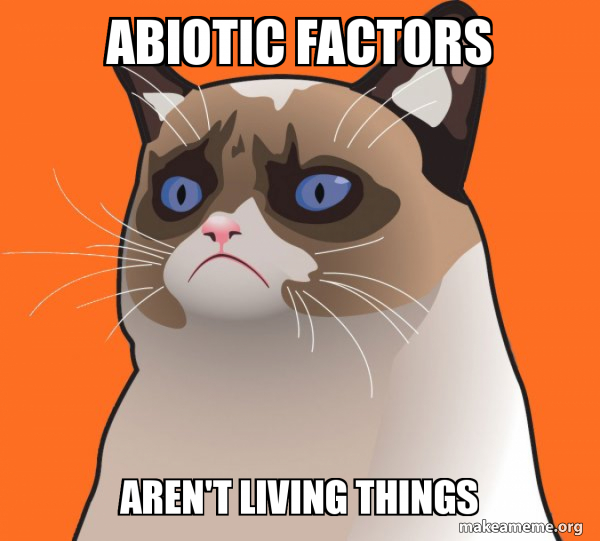 abiotic factors aren't living things - Cartoon Grumpy Cat Meme Generator