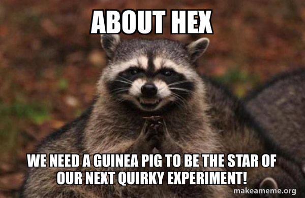 About HEX WE Need a guinea pig TO BE the star of our next quirky ...