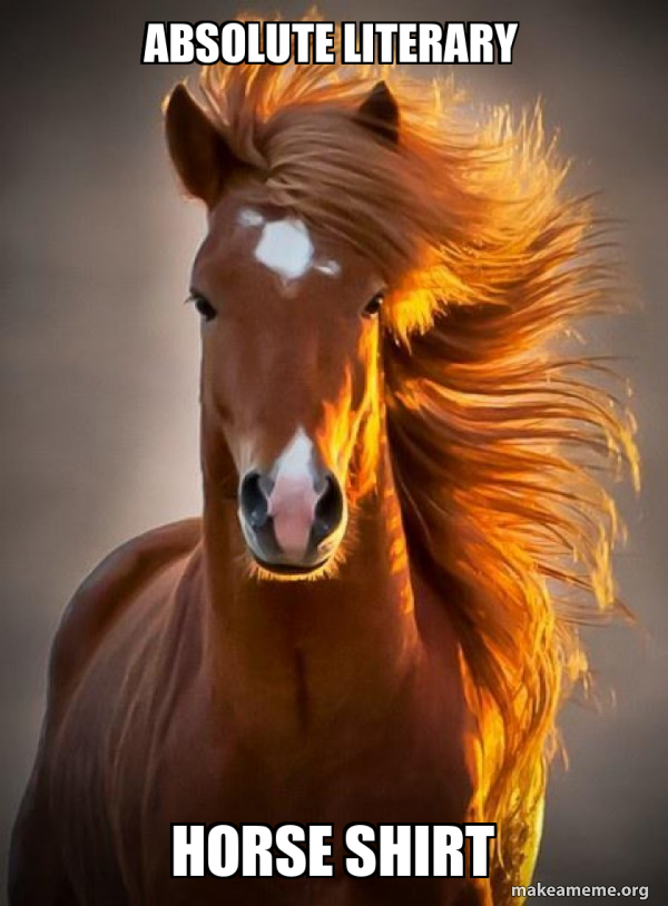 ABSOLUTE LITERARY HORSE SHIRT - Ridiculously photogenic horse Meme ...