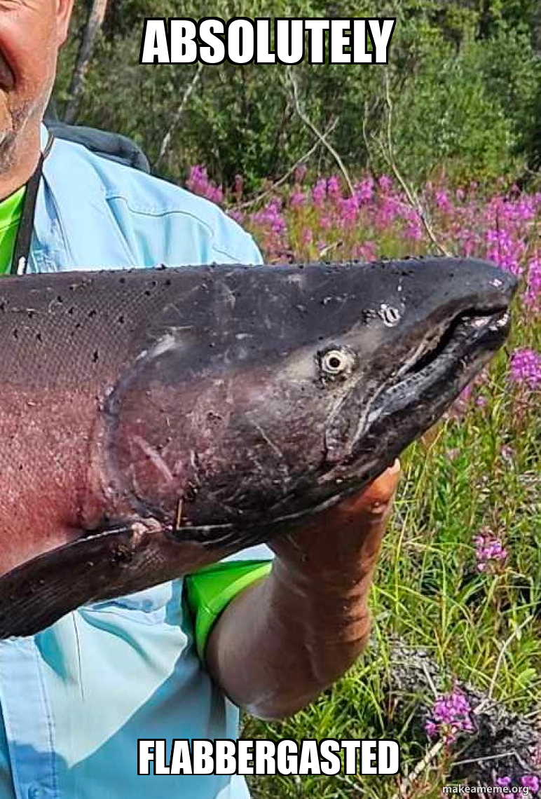 absolutely flabbergasted Meme Generator