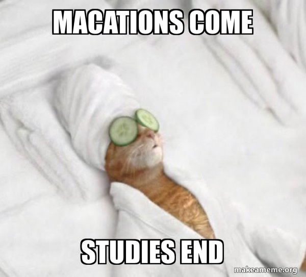 Мacations come studies end - Pampered Cat Meme Meme Generator