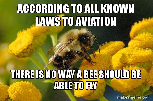 according to all known laws to aviation there is no way a bee should be ...