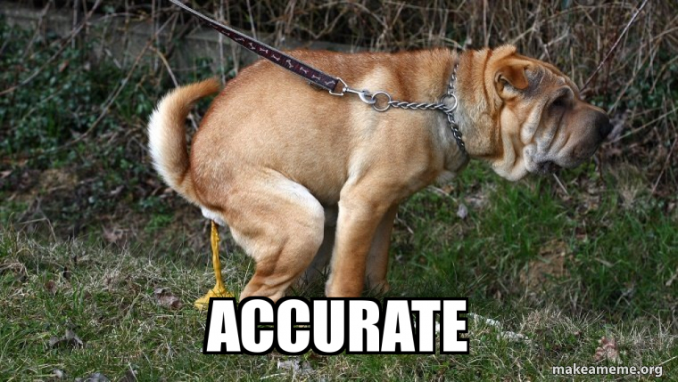 Accurate Meme Generator