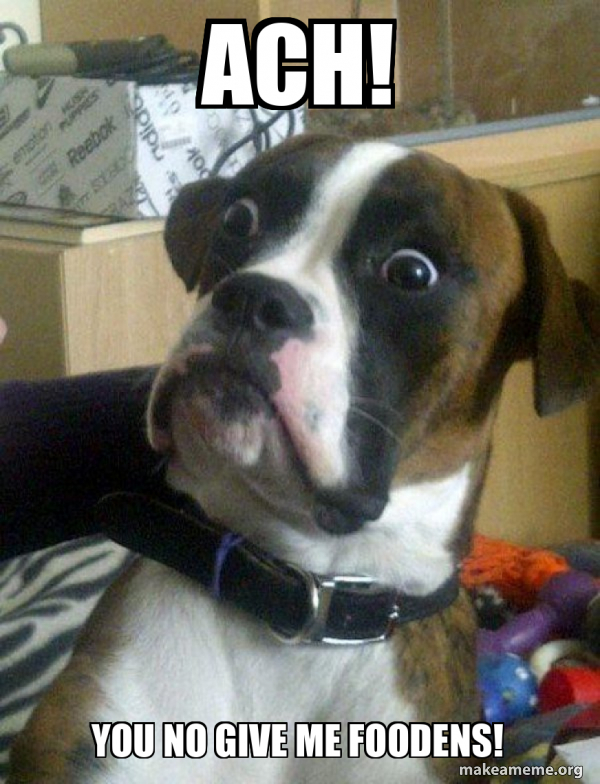 ACH! YOU NO GIVE ME FOODENS! - Skeptical Dog Meme Generator