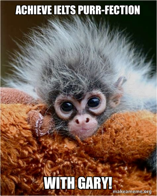 Achieve IELTS purr-fection with Gary! Meme Generator