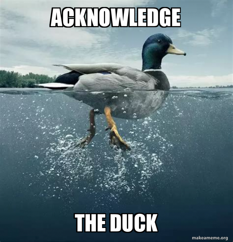 Acknowledge The duck Meme Generator