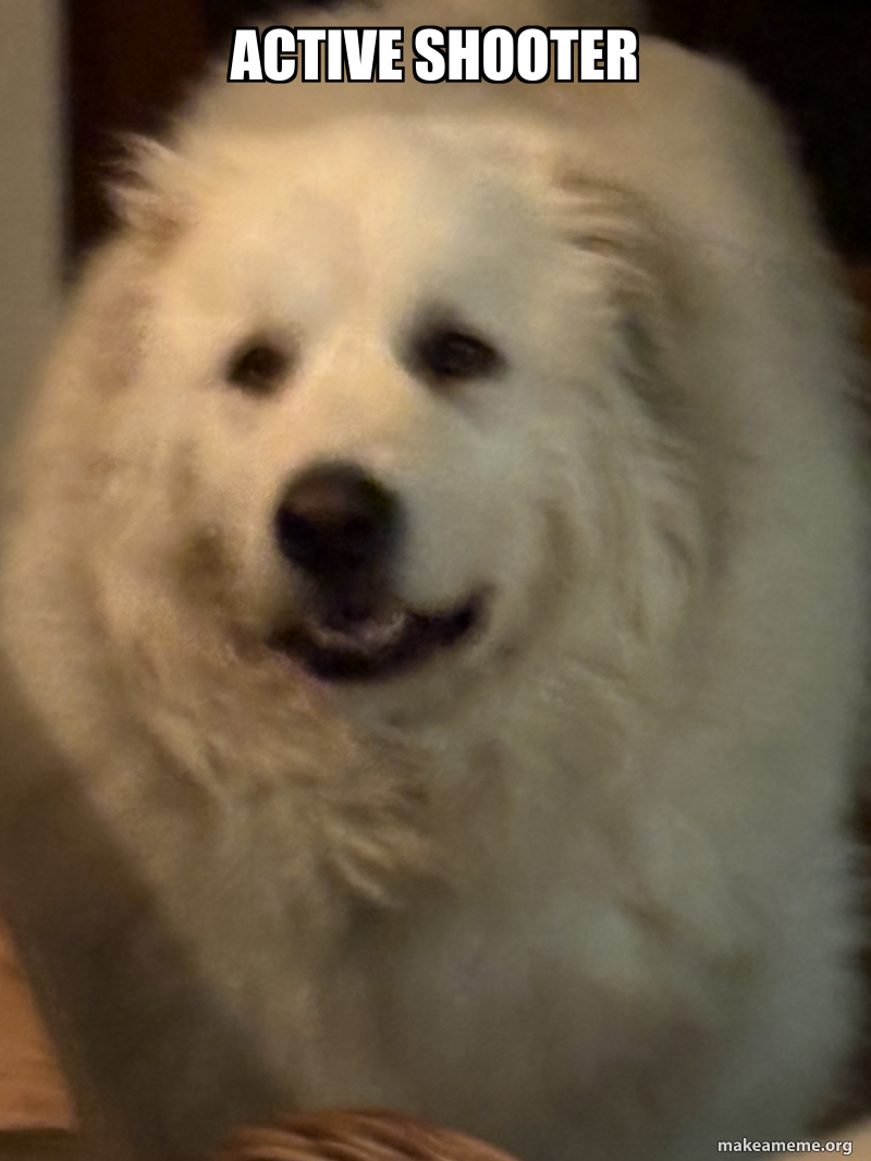ACTIVE SHOOTER Meme Generator