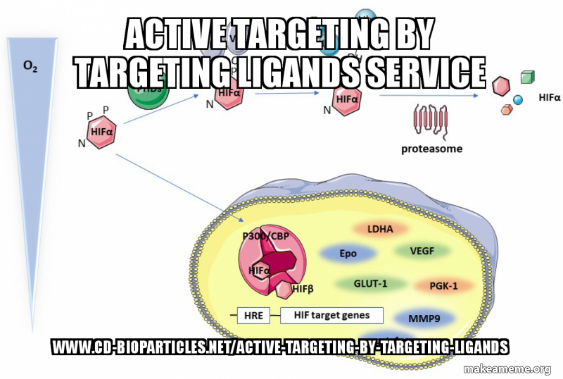 Active Targeting By Targeting Ligands Service www.cd-bioparticles.net ...