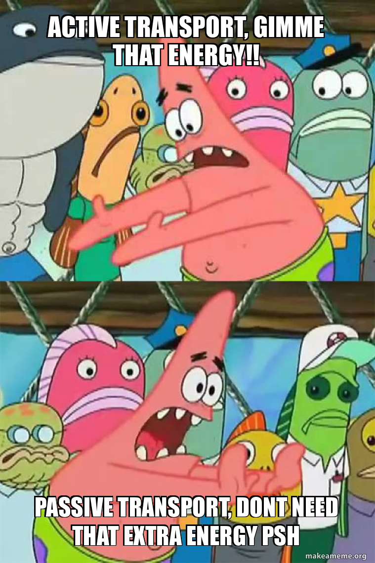 Active transport, gimme that energy!! Passive transport, dont need that ...