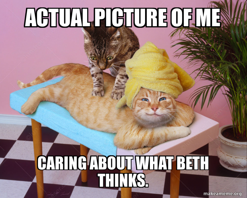 Actual picture of me caring about what Beth thinks. Meme Generator