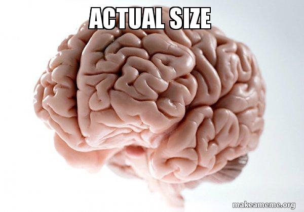 actual size - Scumbag Brain Meme Generator