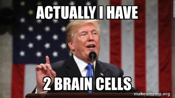 Actually I have 2 brain cells - Donald Trump Meme Generator