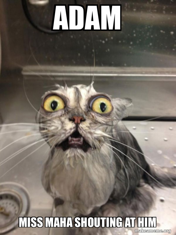adam miss maha shouting at him - Cat bath Meme Generator